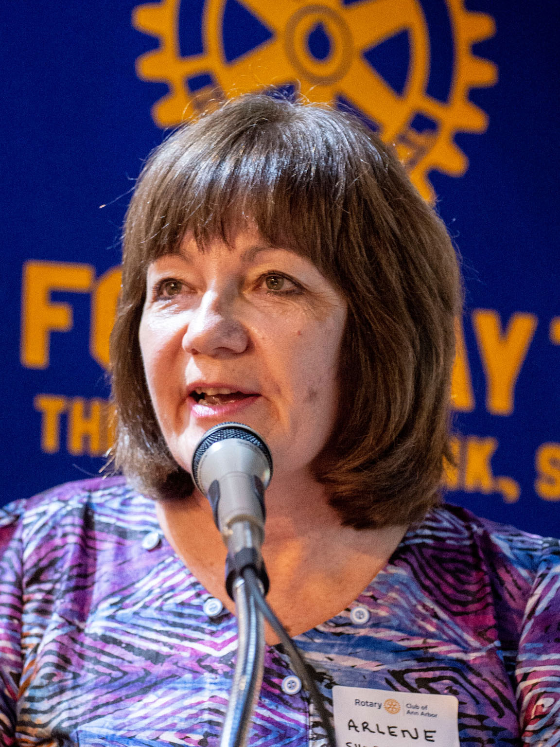 Arlene-Goleimbeski - Rotary Club of Ann ArborRotary Club of Ann Arbor