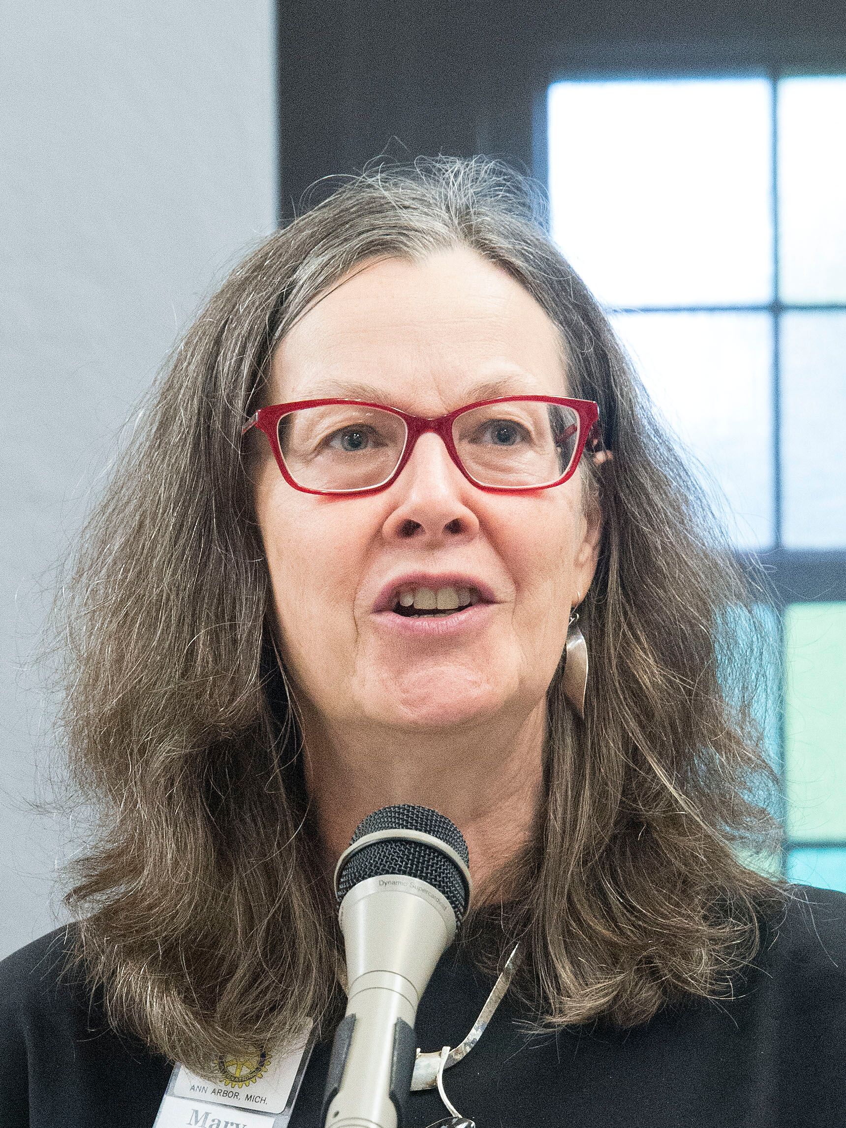 Mary Steffek Blaske, Rotarian in the News - Rotary Club of Ann ...