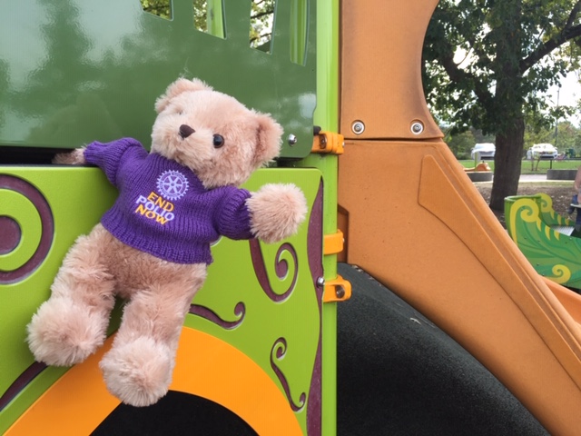 Paulie the End-Polio-Now Bear in Ann Arbor - Rotary Club of Ann ...
