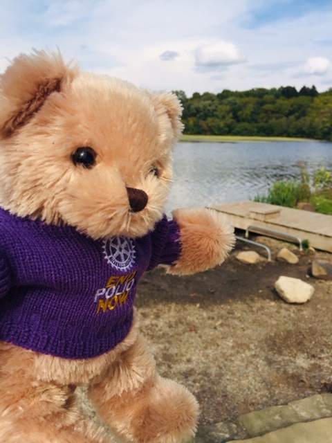 Where's Paulie Now? - Rotary Club of Ann ArborRotary Club of Ann Arbor
