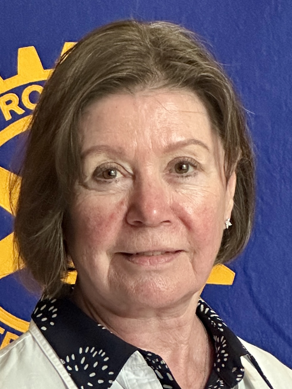 Linda Wallis - Rotary Club of Ann ArborRotary Club of Ann Arbor